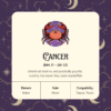 Unveiling the Enigma of the 12 Unique Zodiac Signs
