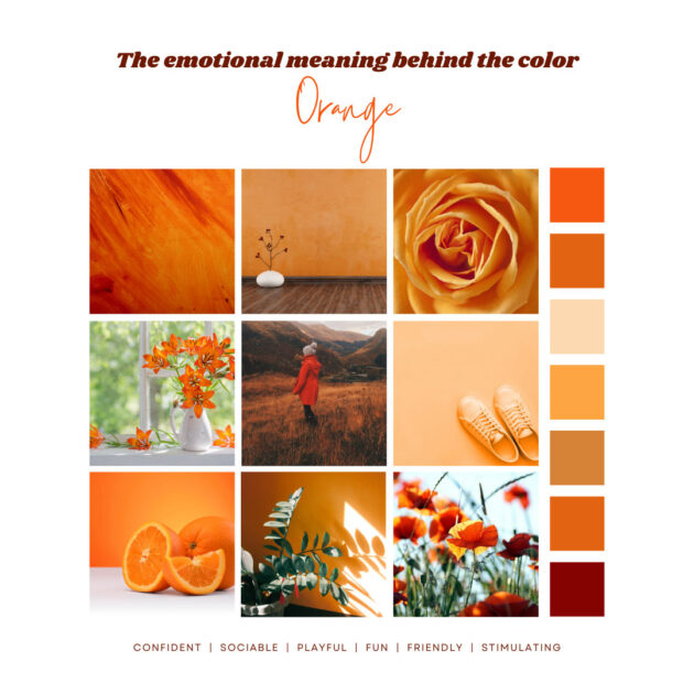 The Healing Art of Chromotherapy | Color Therapy